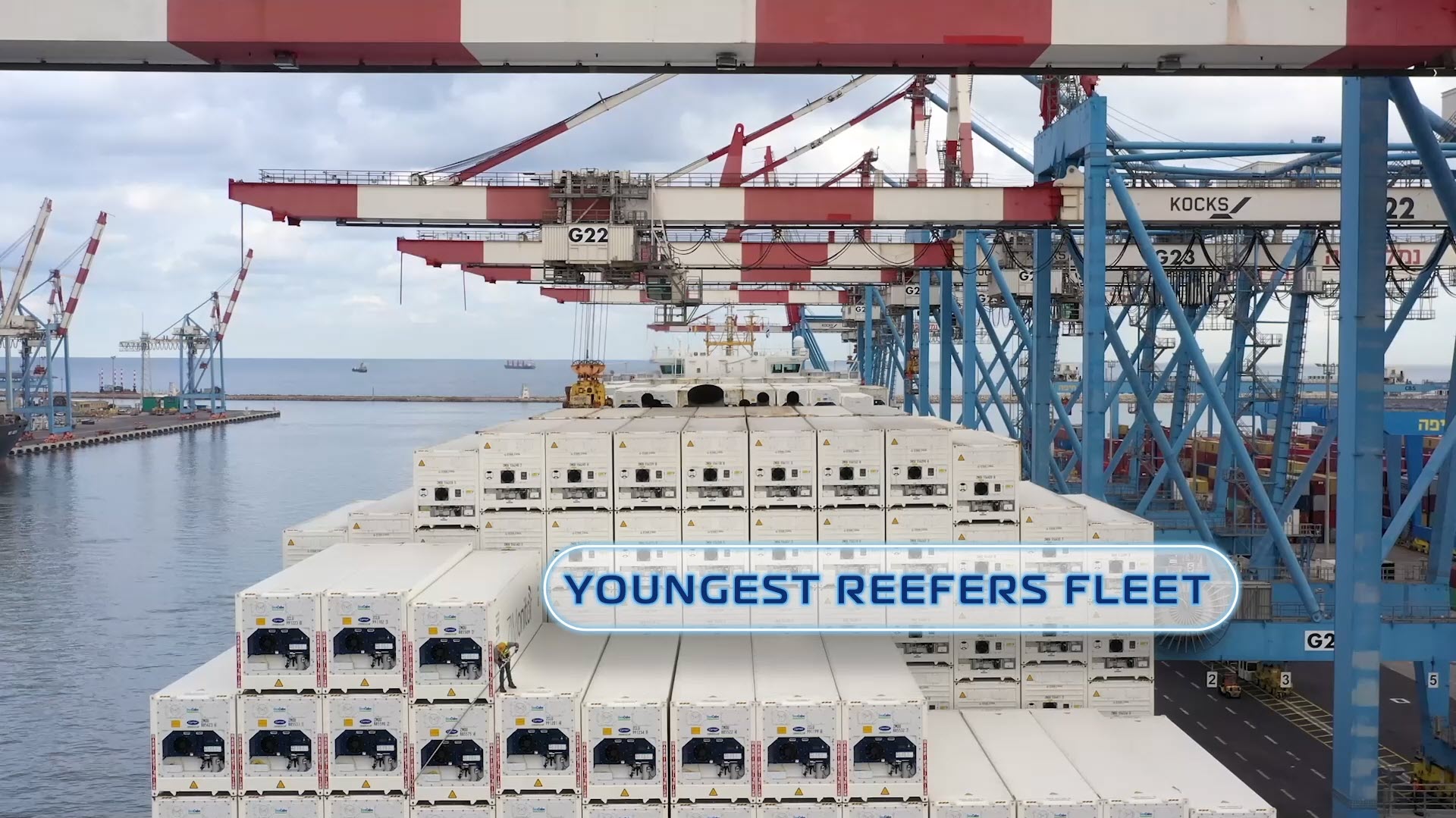Reefer Cargo - ZIMonitor | ZIM