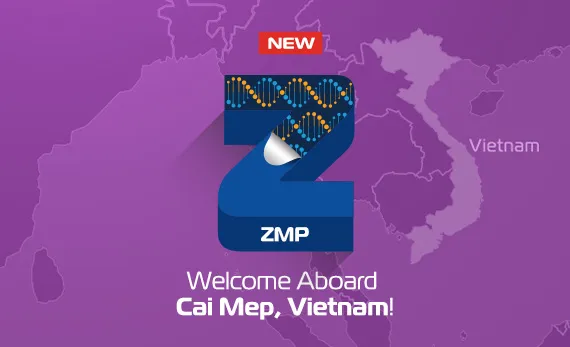 International Shipping Lines, Container Shipping, Cargo Services | ZIM