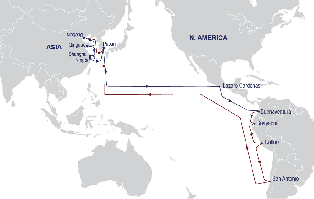 Latin America Service Collection | ZIM