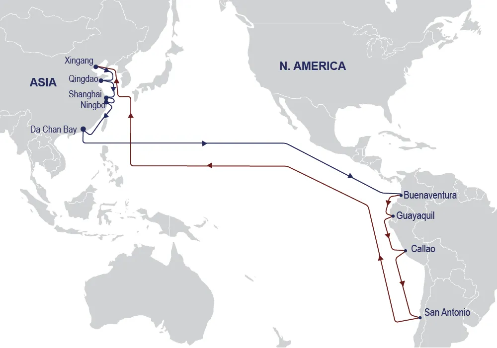 Latin America Service Collection | ZIM